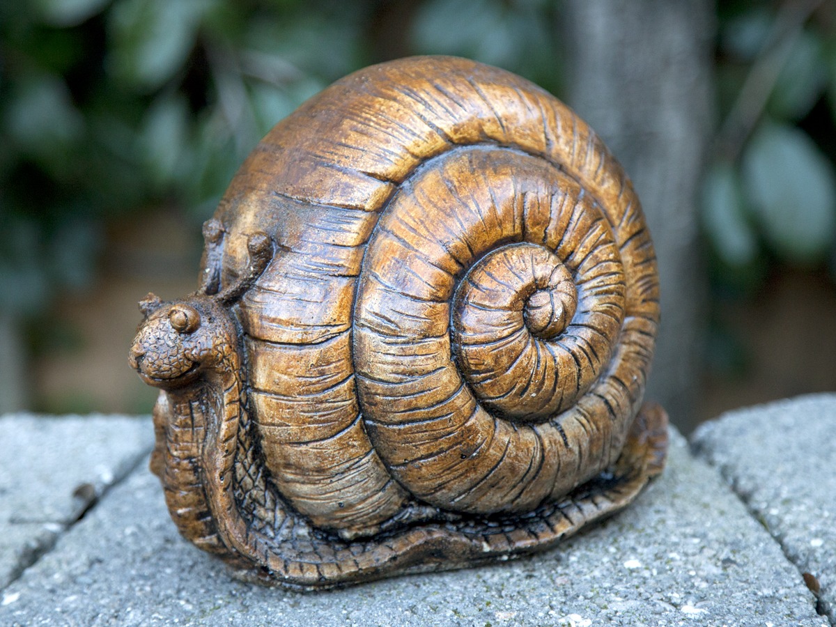 Funky Snail - Pottery World