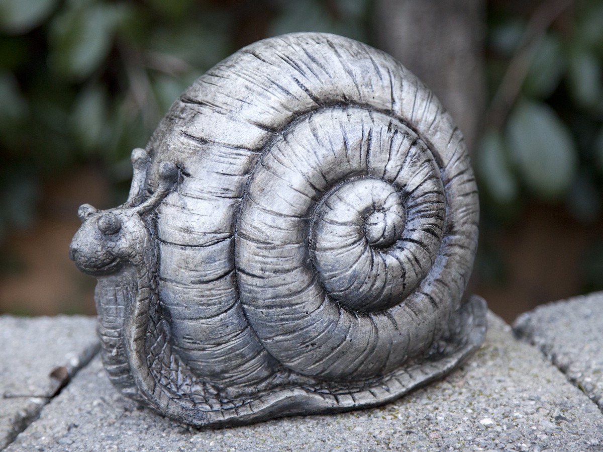 Funky Snail - Pottery World